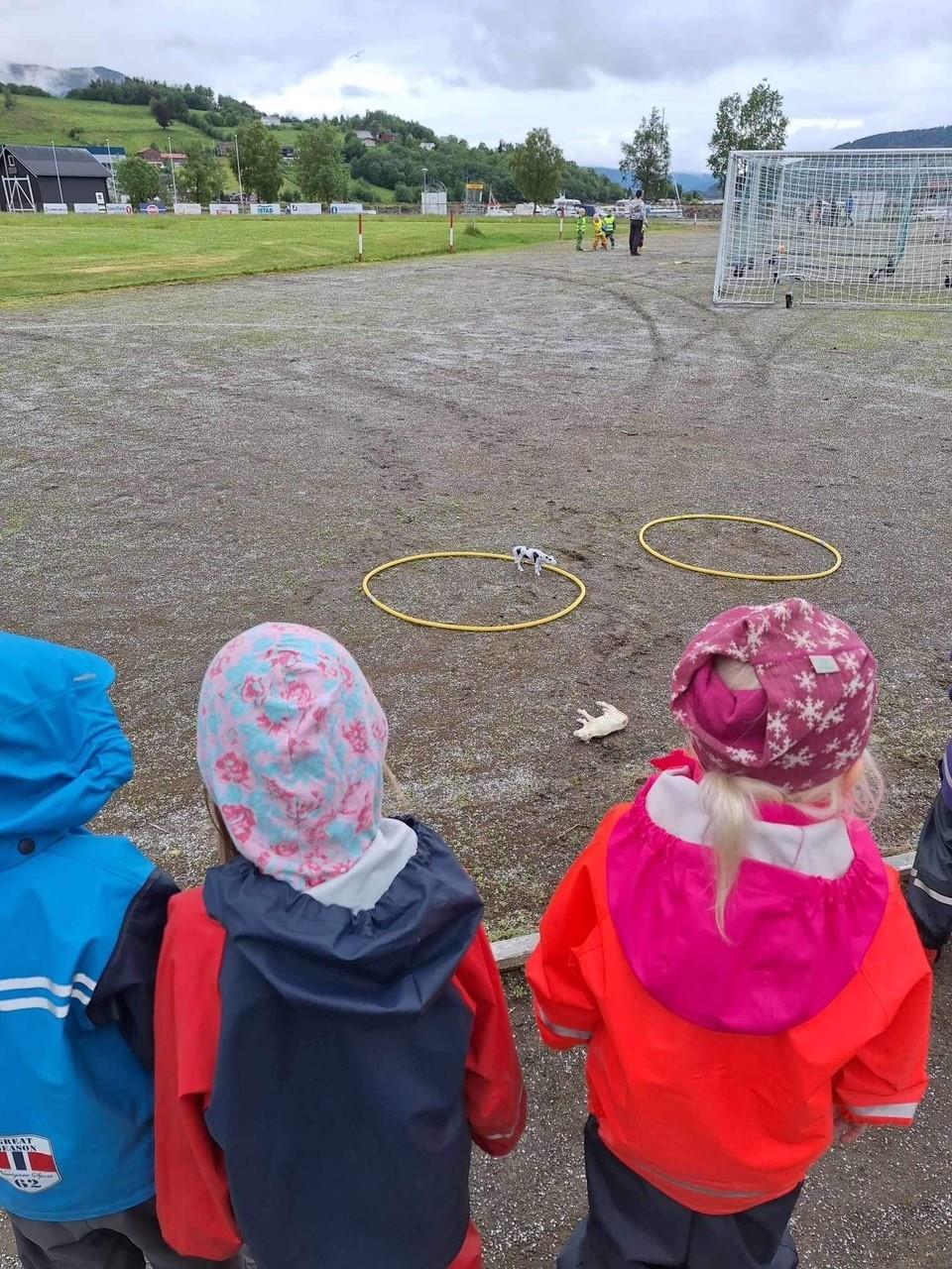 Barnehage lekene 2024 ble i år arrangert i 5.juni - Gjemnes kommune